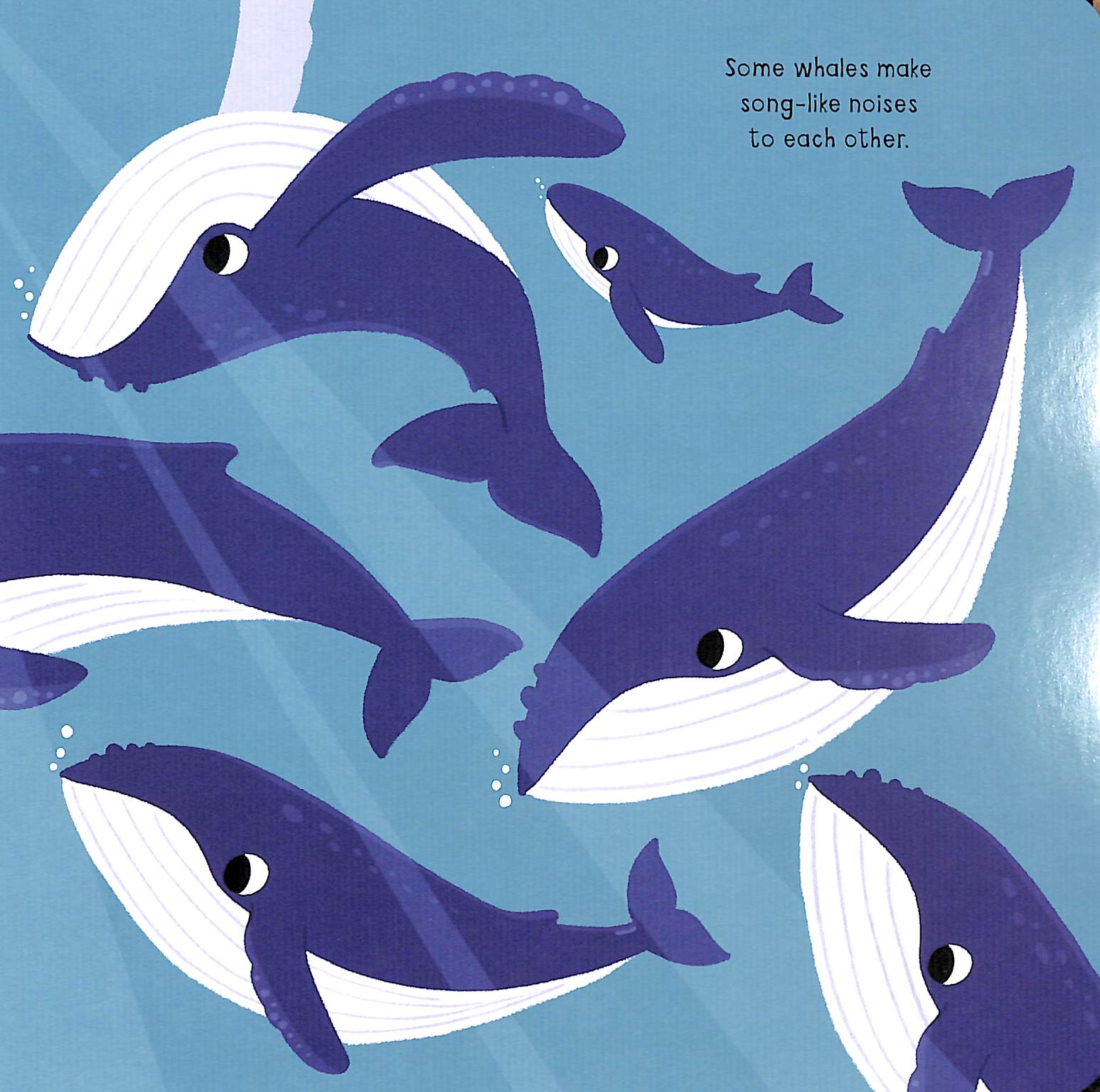 My Little Ocean Explorer: Mirror Book - FAHASA.COM