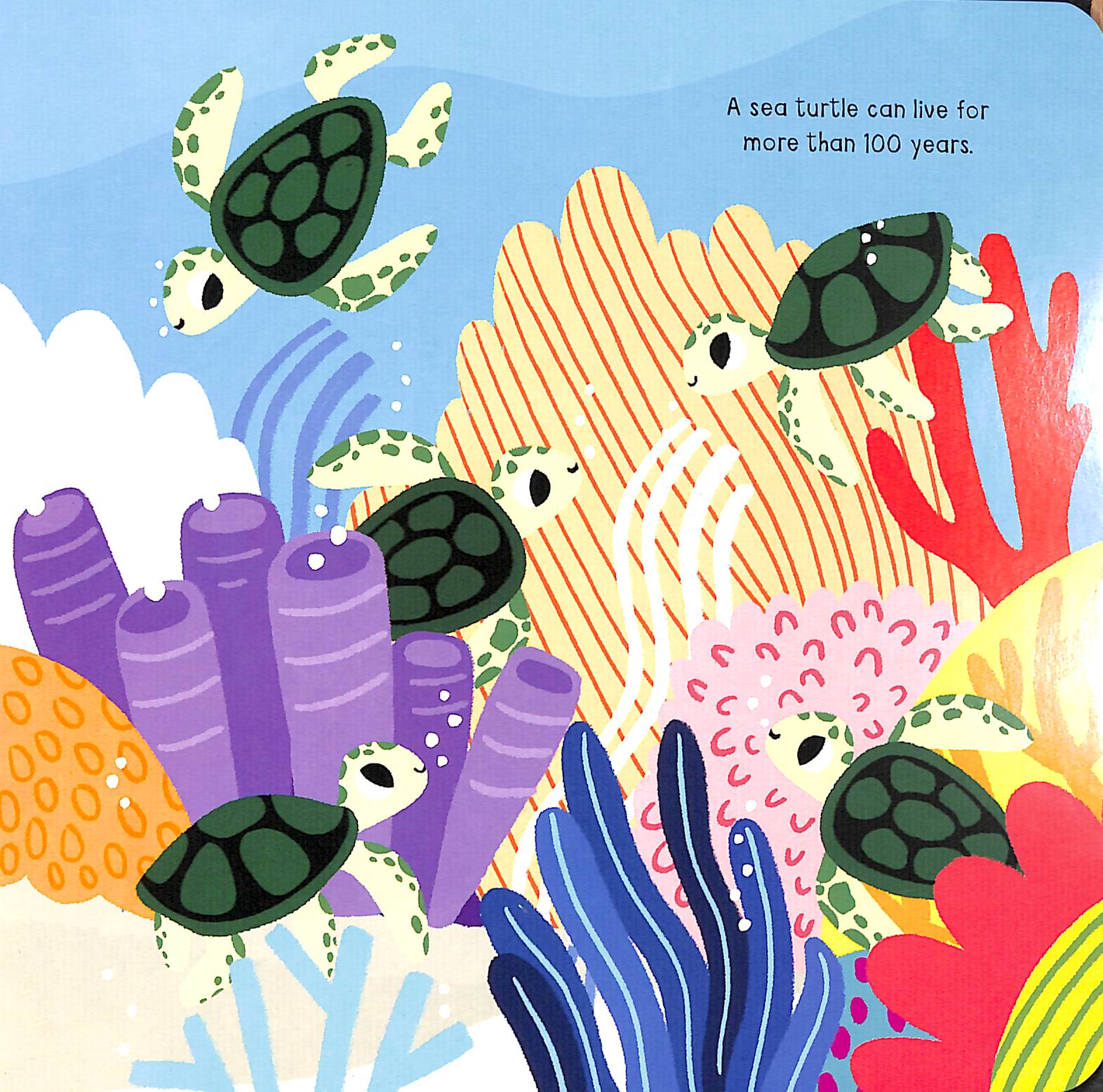My Little Ocean Explorer: Mirror Book - FAHASA.COM