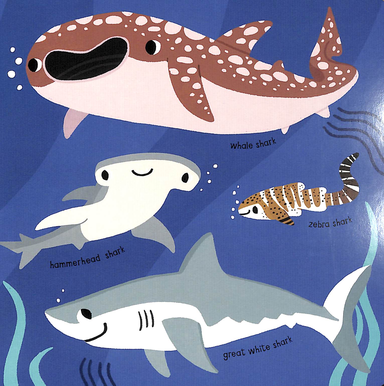 My Little Ocean Explorer: Mirror Book - FAHASA.COM