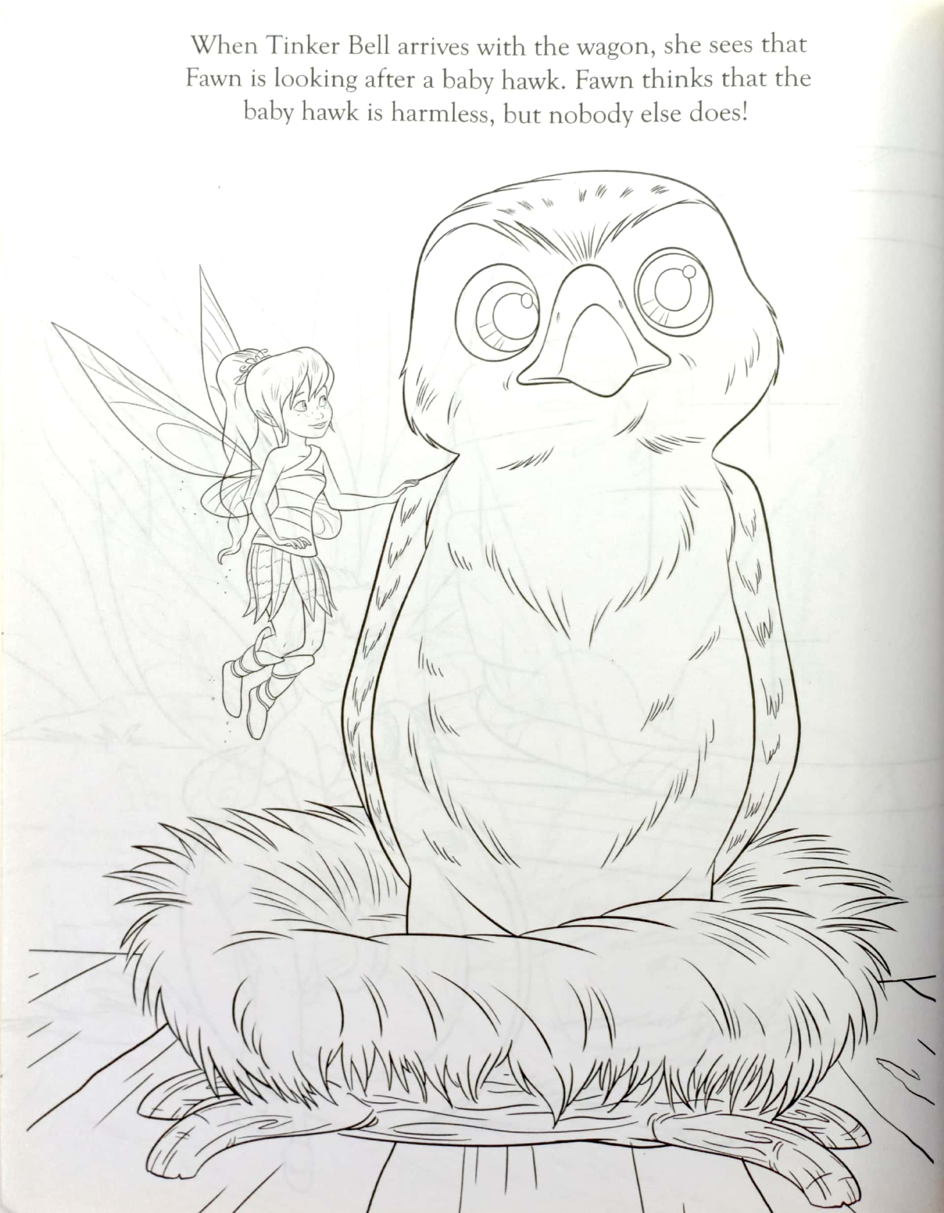 tinkerbell and the legend of the neverbeast coloring pages